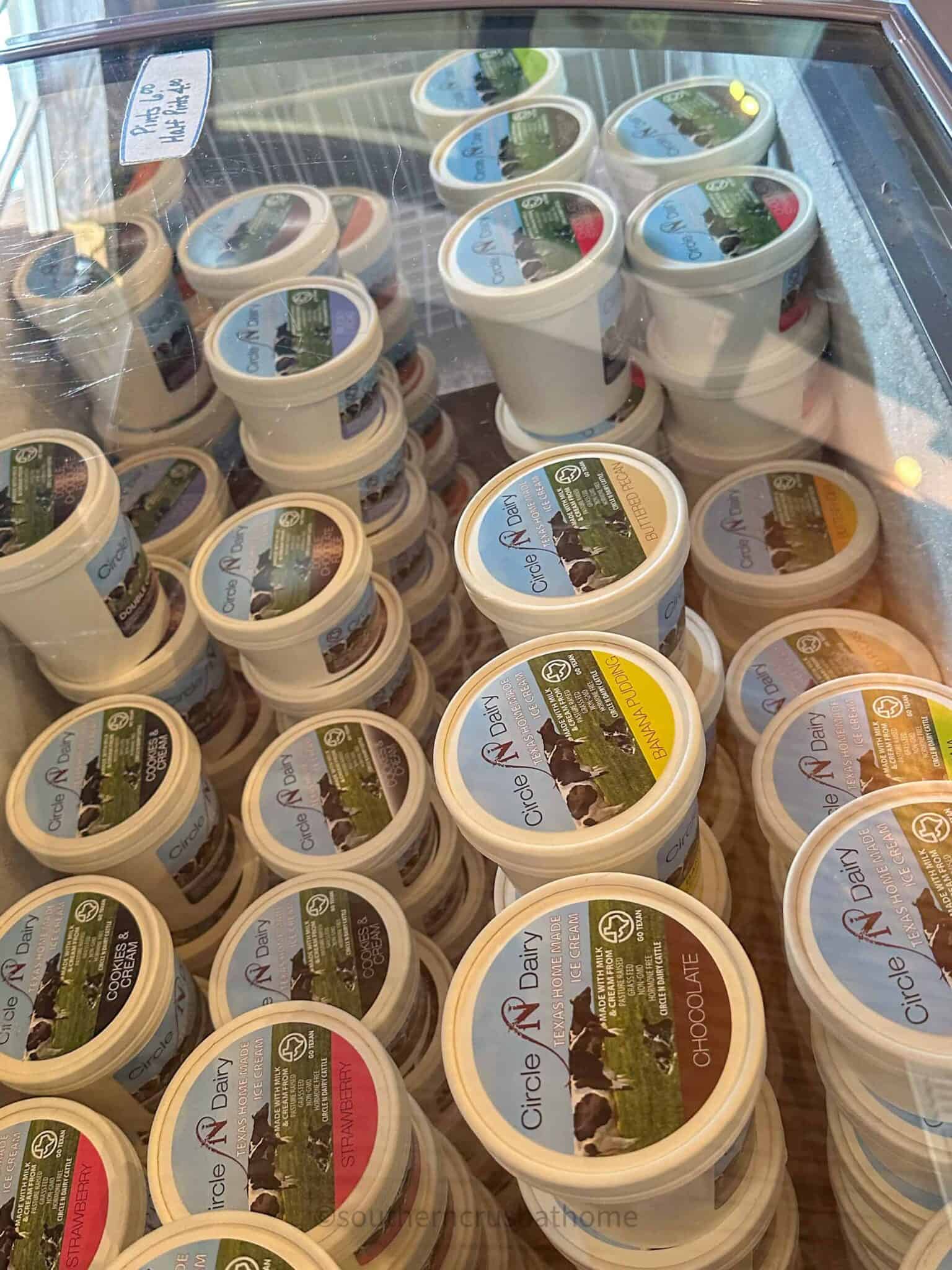 Moo-ve Over City Life: Discover a Day Trip to Circle N Dairy Southern ...