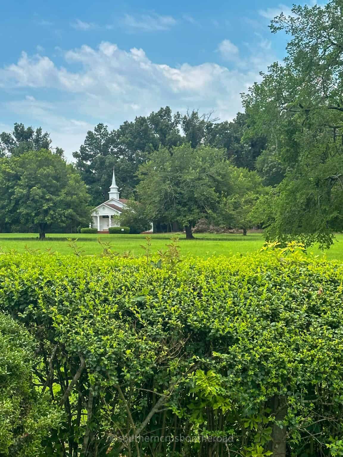 Tea Party Bridal Shower at Roseland Plantation in Ben Wheeler, TX ...